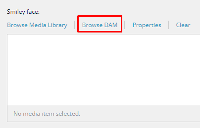 Selecting Assets – Bynder DAM Connector for Sitecore XP/XM