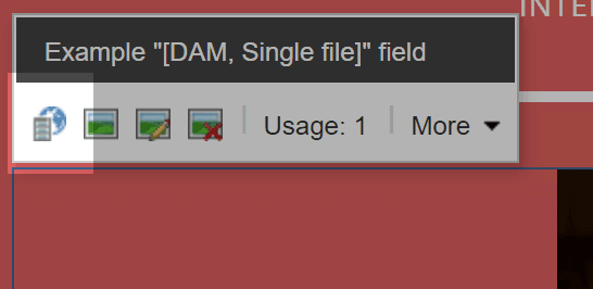 Experience Editor – Bynder DAM Connector for Sitecore XP/XM